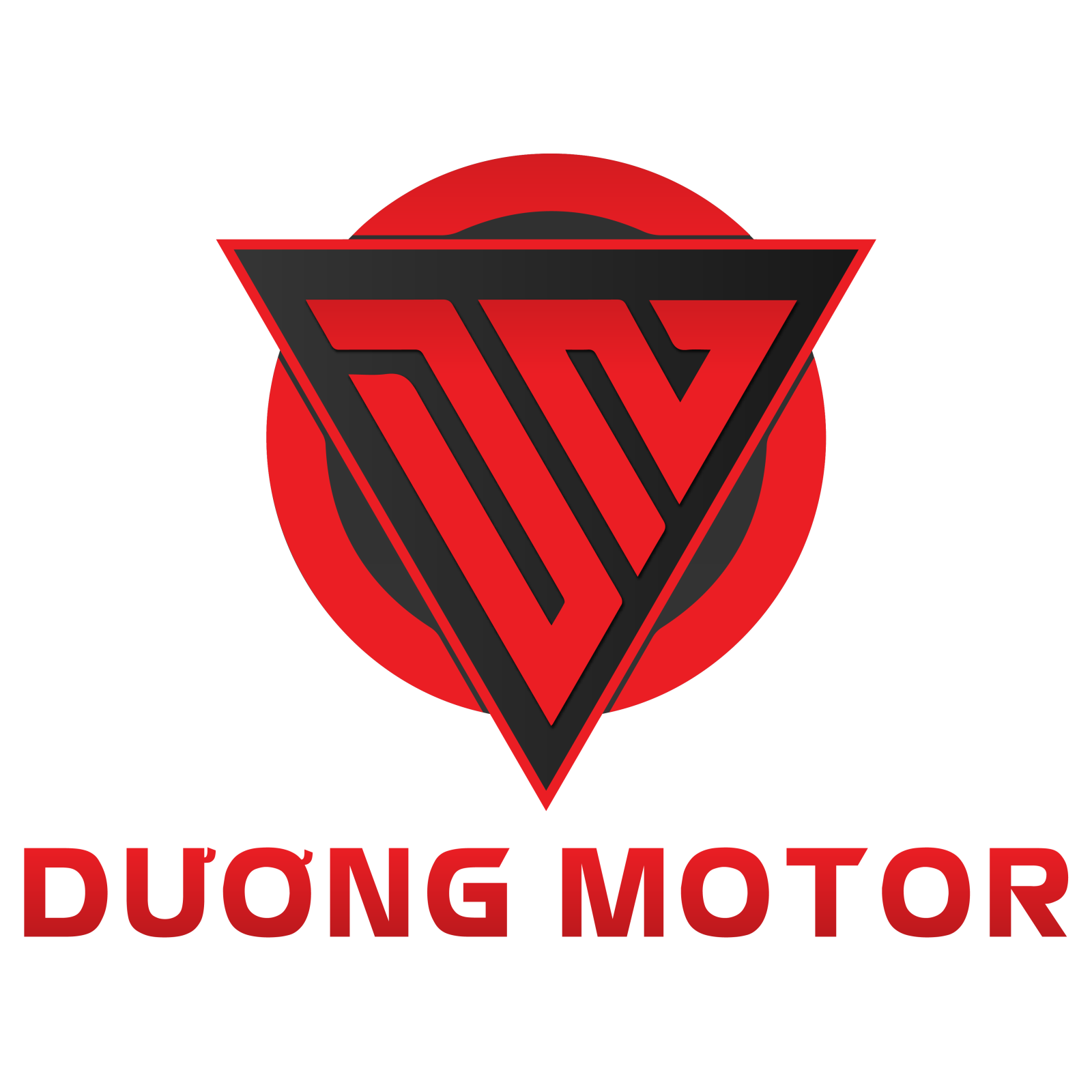 Dương Motor